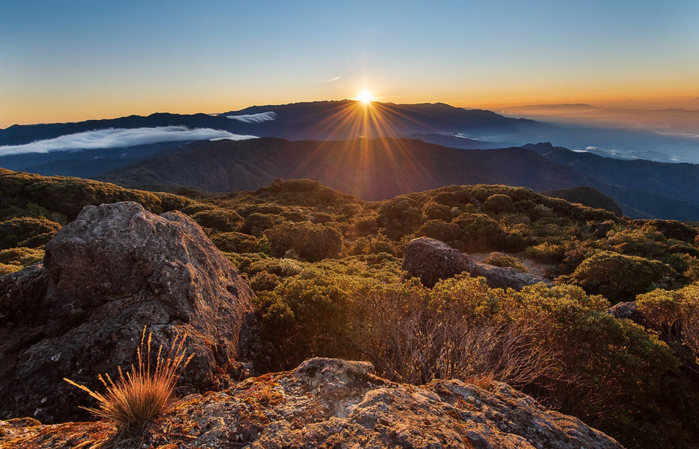 Visiter Cerro Chirripo - Préparez son voyage au Costa Rica