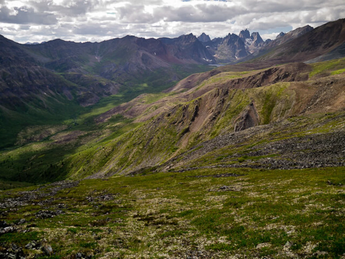 Visiter Grizzly Ridge - Préparez son voyage au Canada